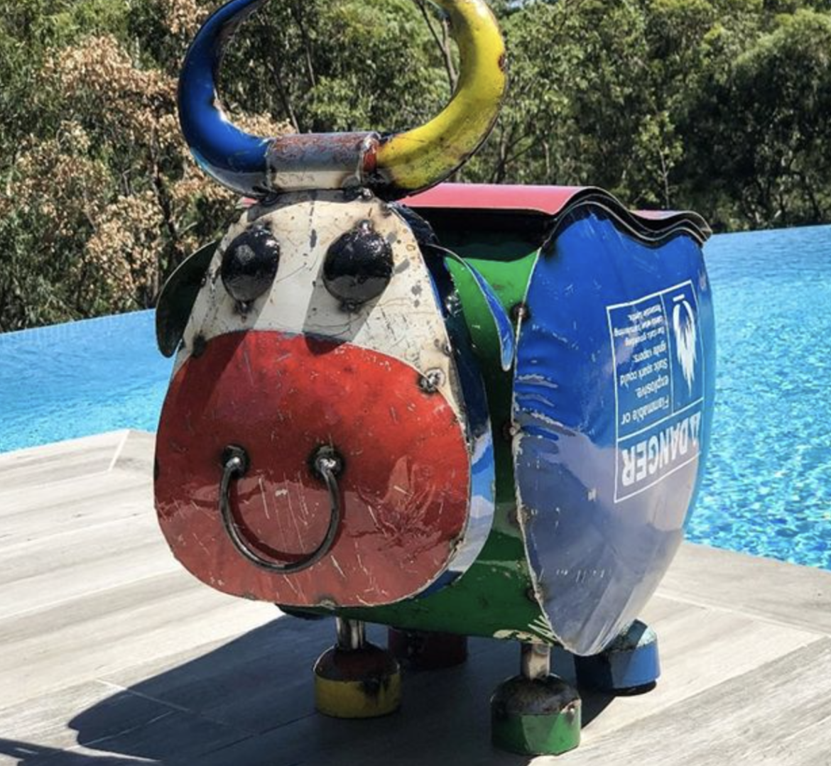 Barnyard Bull Cooler – Competition Fox