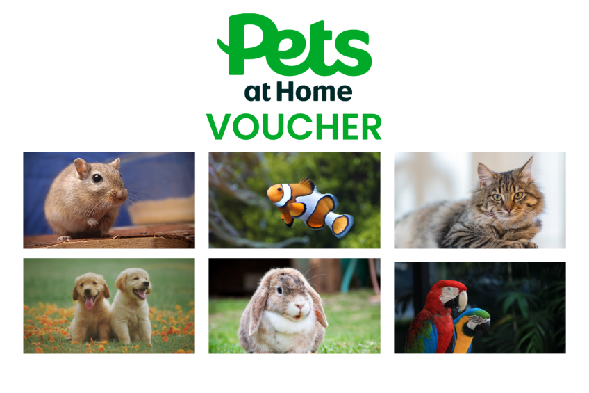 WIN £50 PETS AT HOME GIFT CARD- AUTO WIN-15/10 – Competition Fox