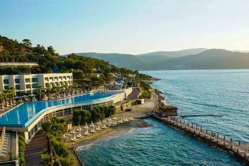 Waiting to be Drawn | Competition Fox