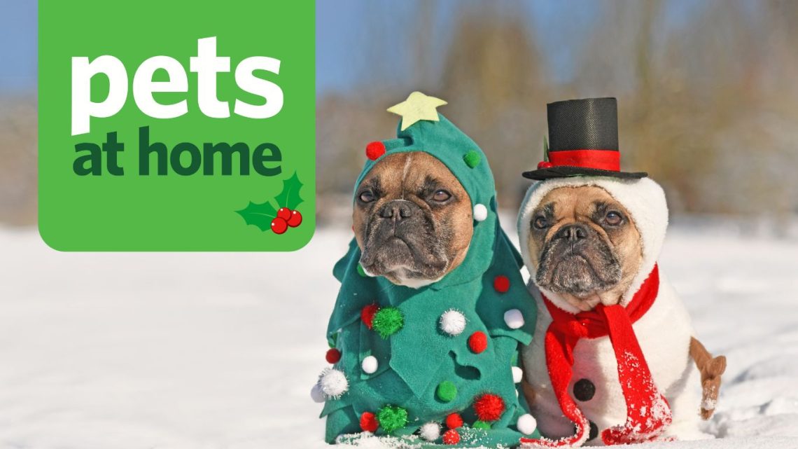 WIN £50 PETS AT HOME GIFT CARD– AUTO WIN 04/12 – Competition Fox